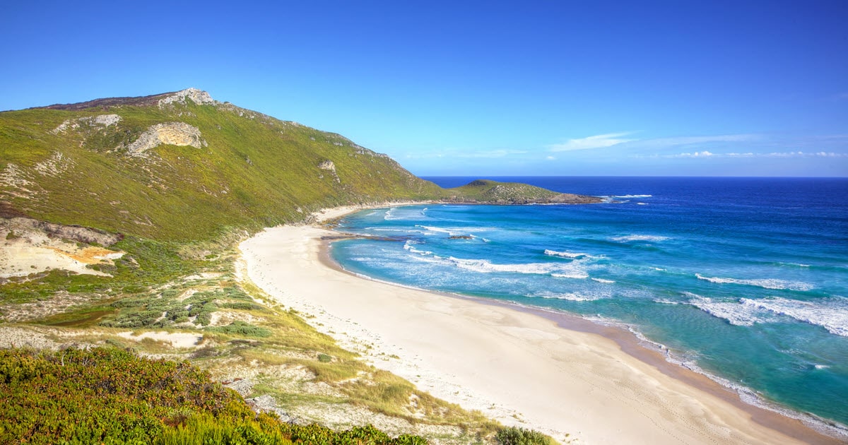 Beachside Whale Watching at Walpole’s Conspicuous Cliffs | WA