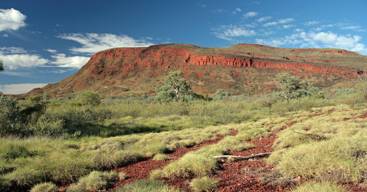 Mount Nameless Guide | Tackle the Walking Trail or 4WD Track