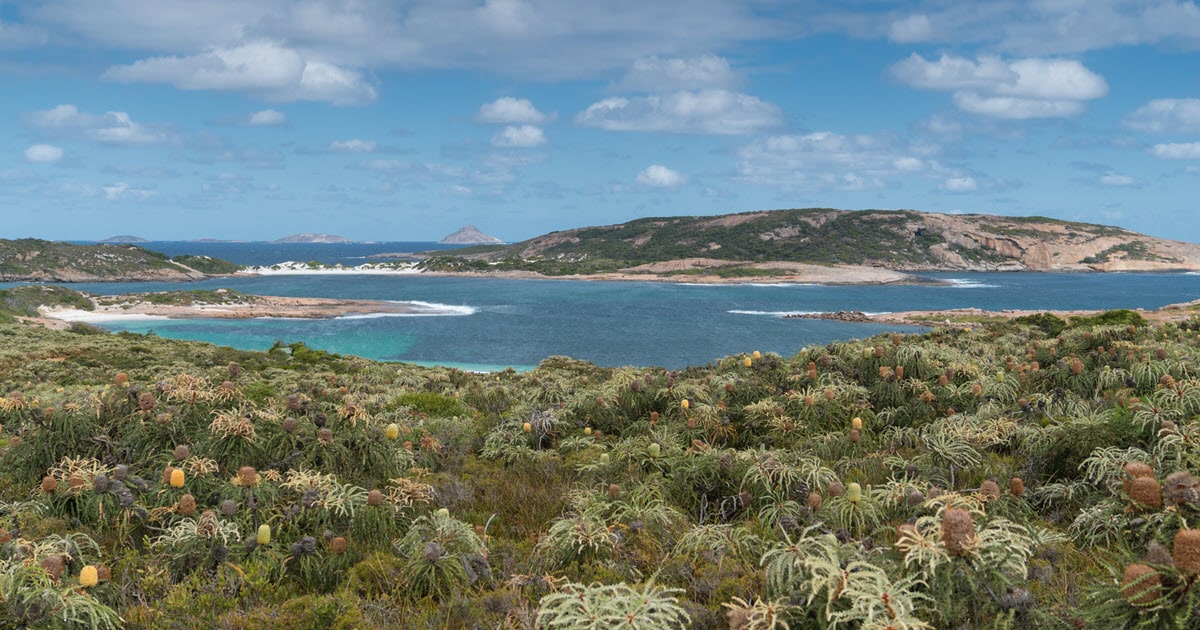 Welcome West! Summerstar's Guide To Western Australia
