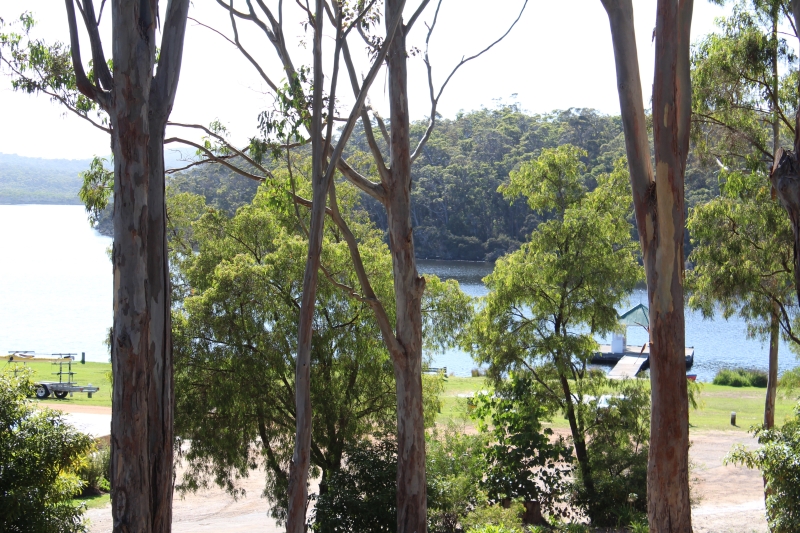 Walpole Rest Point Caravan Park » Book Direct | Summerstar Tourist Parks