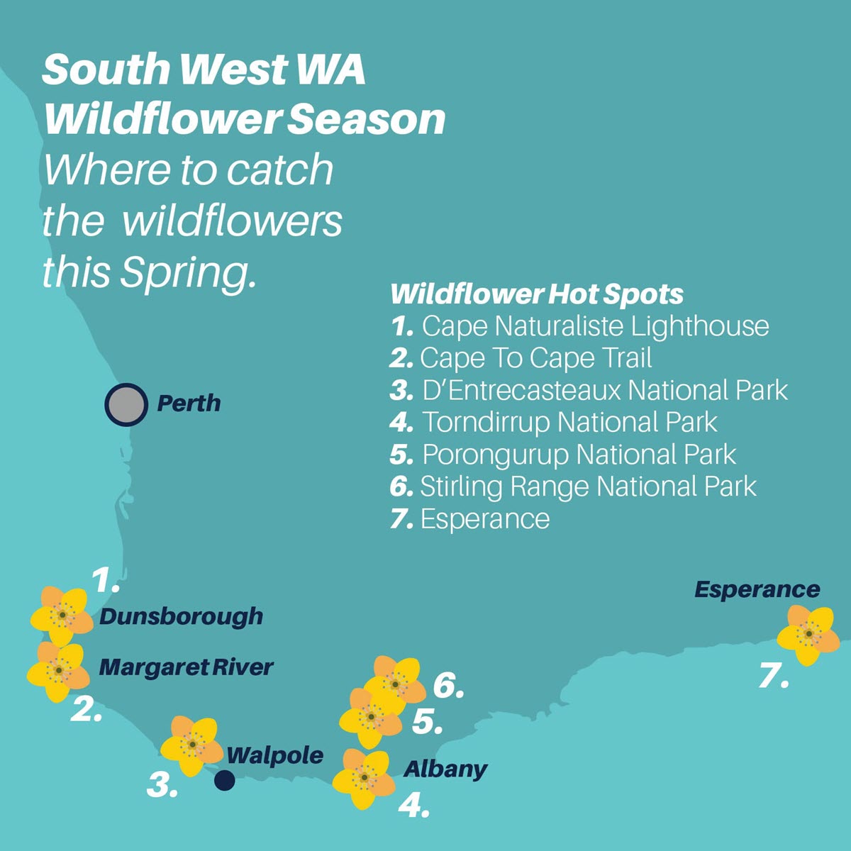 Wildflower Season WA: Find Australian Native Wildflowers 2023